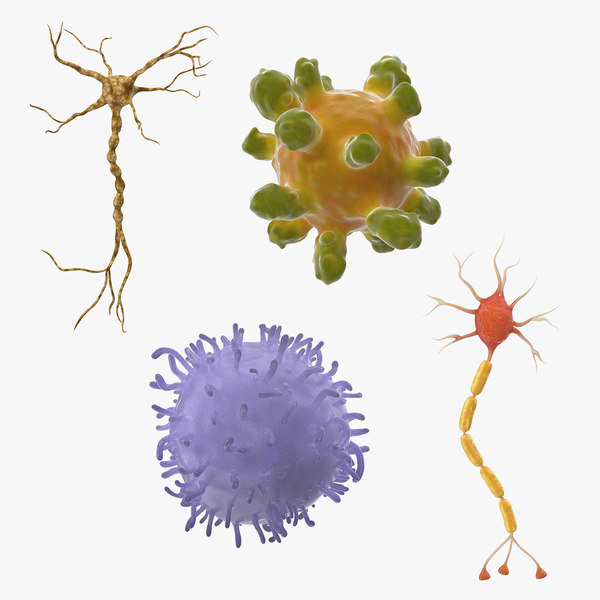 neuron cell dendrites biomedical 3d model