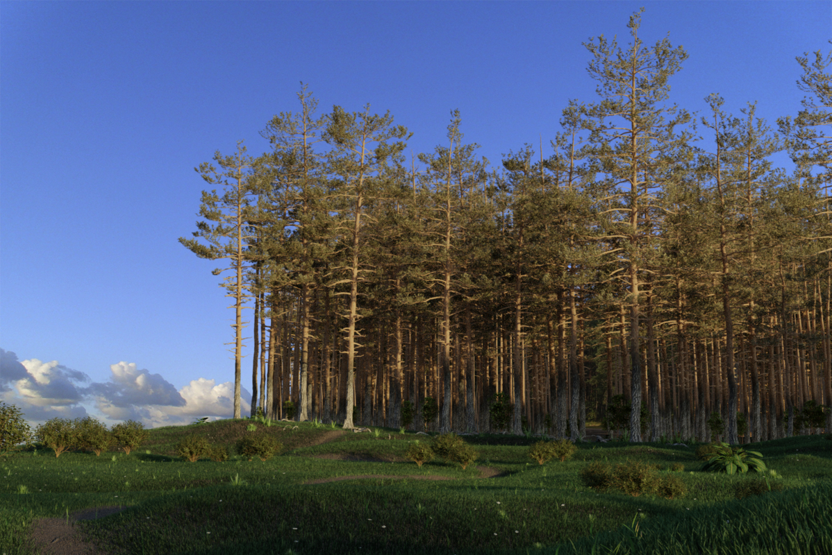 Pine tree packed 3D model - TurboSquid 1362606