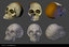 3D simple skull model - TurboSquid 1362929