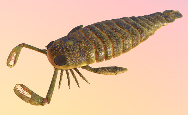3d model pikaia prehistoric cambrian