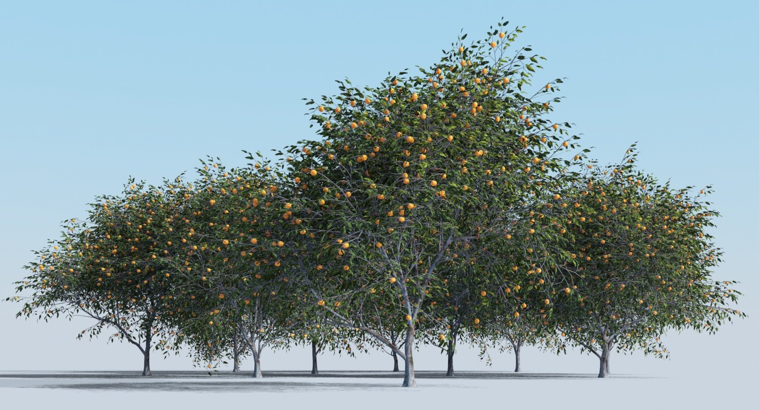 Realistic fruit tree woods model - TurboSquid 1363371
