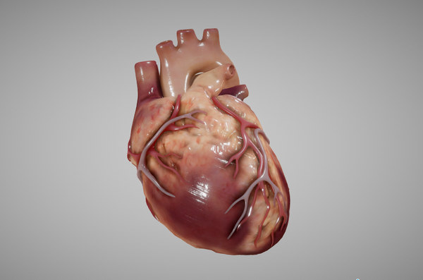 Modelos de 3D Corazon Gratis | TurboSquid