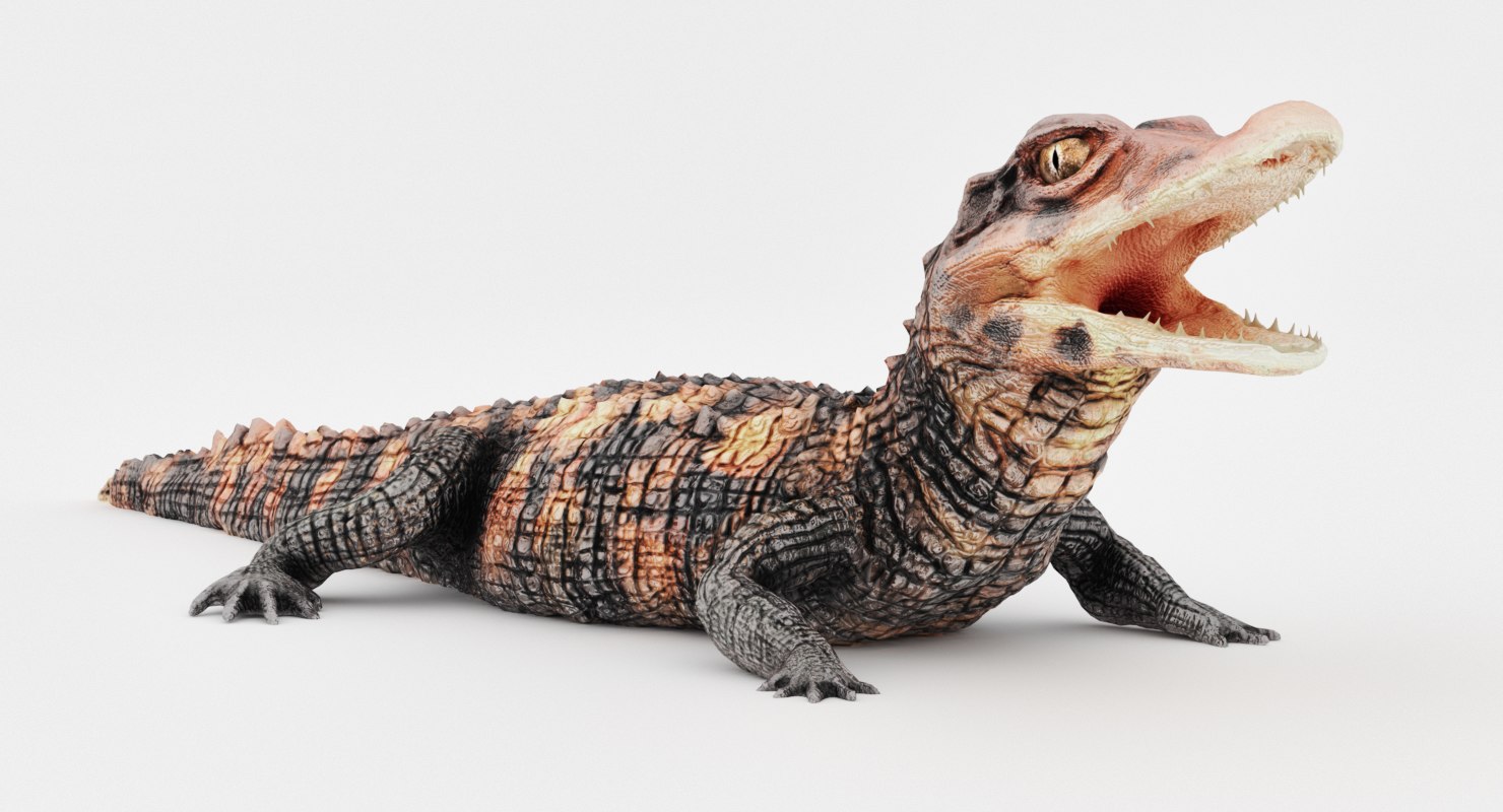 3D crocodile - TurboSquid 1363633