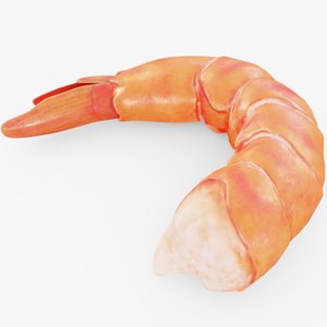 Shrimp Seafood 3D Models for Download | TurboSquid