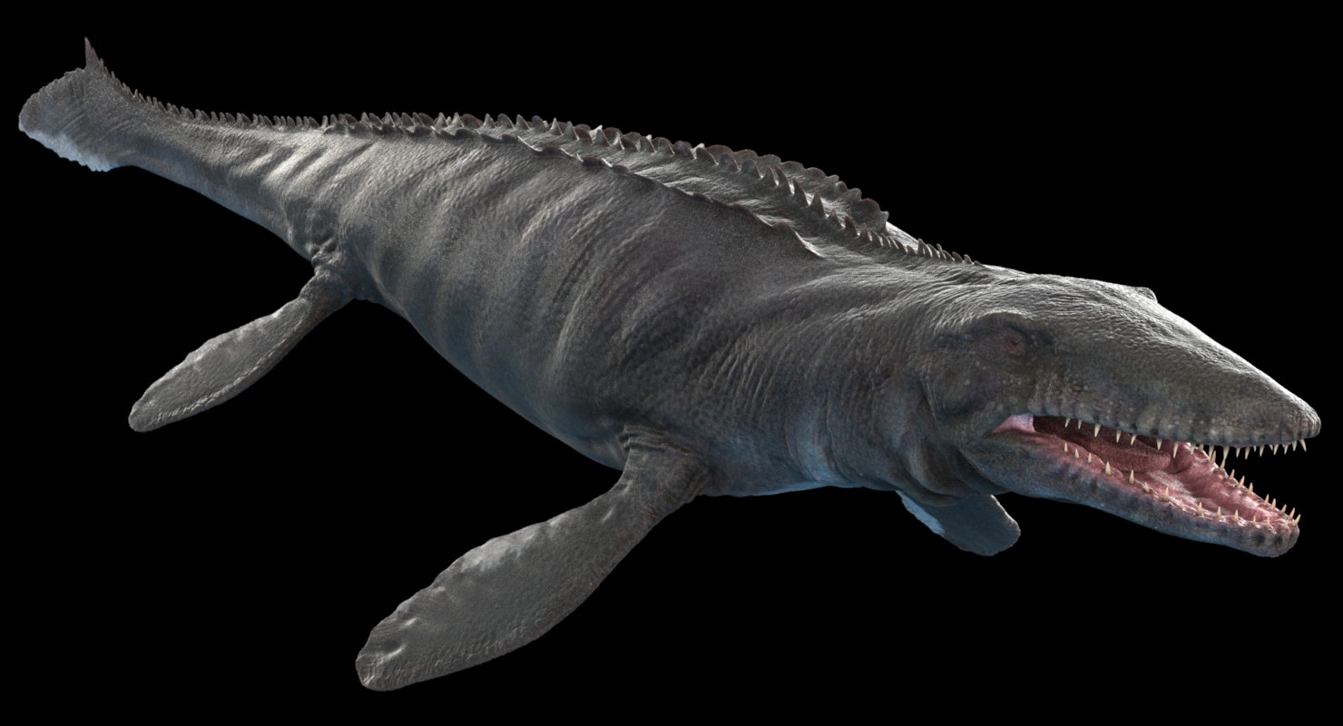 Mosasaurus Rigged Model 3D - TurboSquid 1361456
