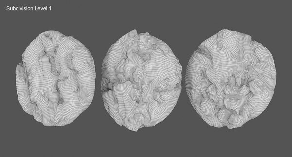 Realistic 3 chocolate chip model - TurboSquid 1365237