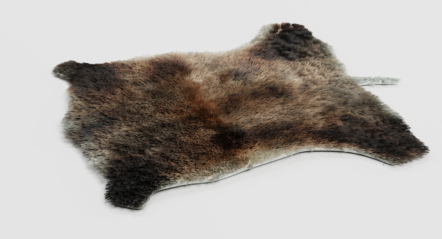 Boar skin fur 3D model - TurboSquid 1365312