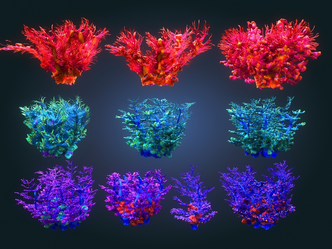 Coral reef plants pack 3D model - TurboSquid 1365785