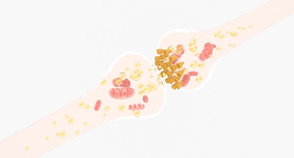 3D synapse neurotransmitter model - TurboSquid 1367401