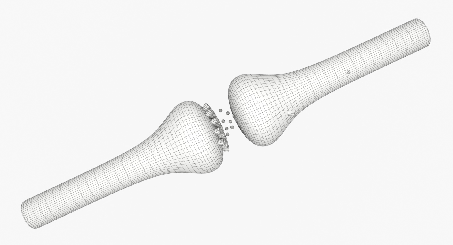 3D synapse neurotransmitter model - TurboSquid 1367401