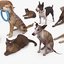 Animals dog cat 3D - TurboSquid 1366062