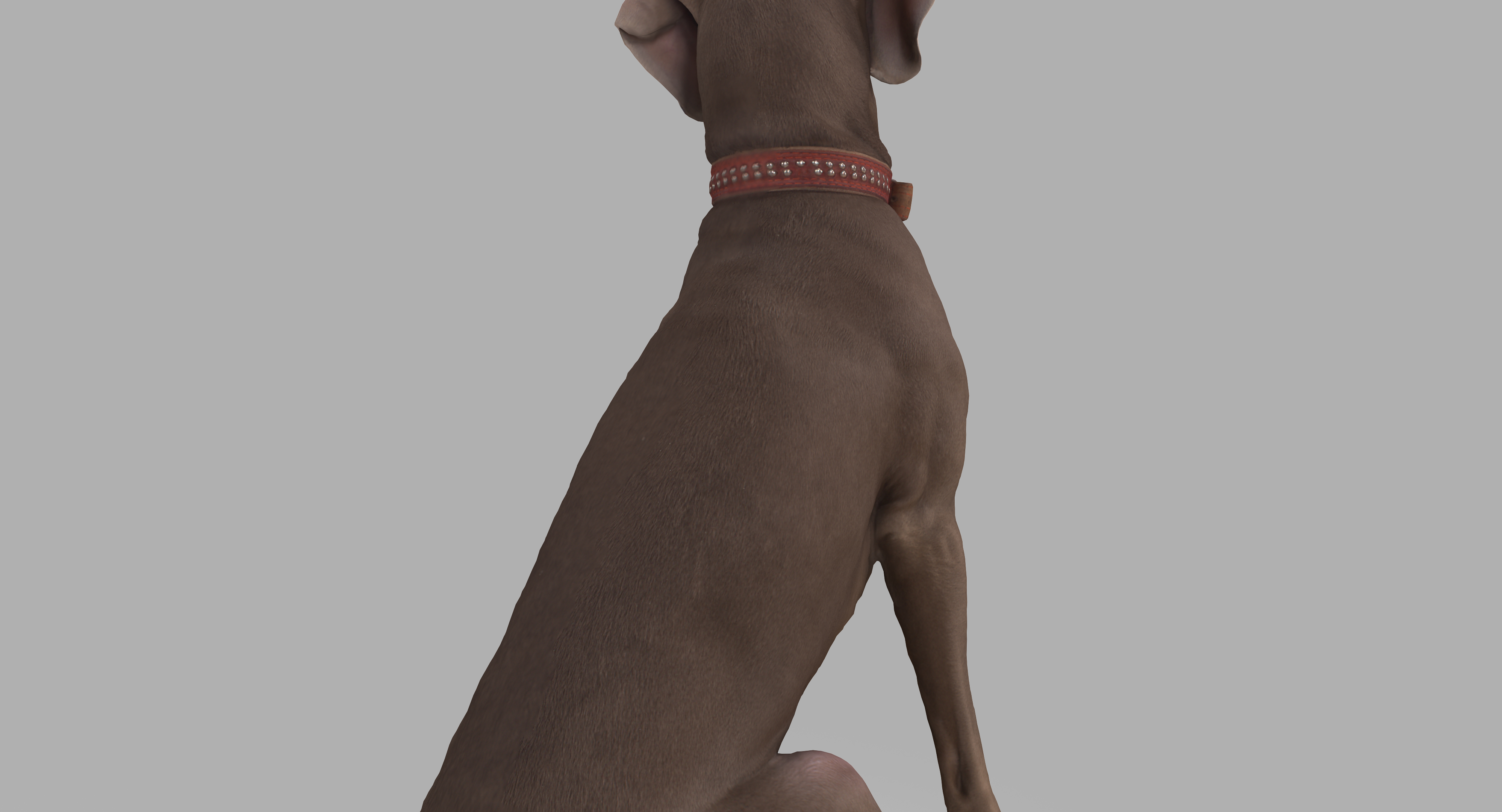3D animals sitting dog - TurboSquid 1366340