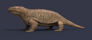 3d eryops amphibians model