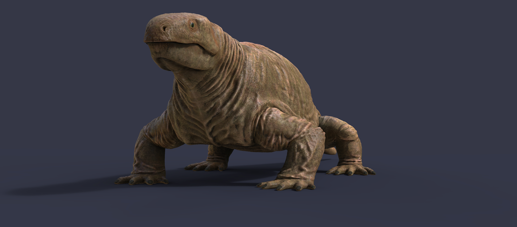 3D diadectes - TurboSquid 1366392