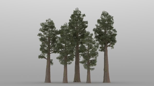 5 sequoia trees 3D model - TurboSquid 1151548