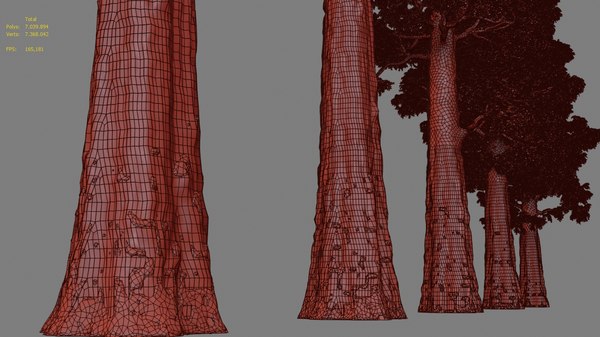5 sequoia trees 3D model - TurboSquid 1151548