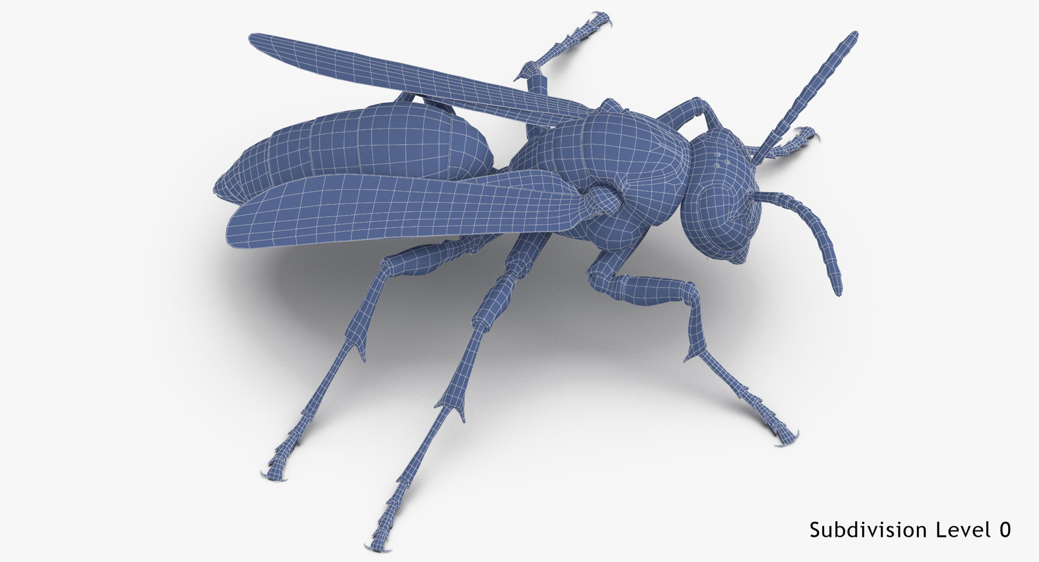 Paper wasp standing model - TurboSquid 1367390