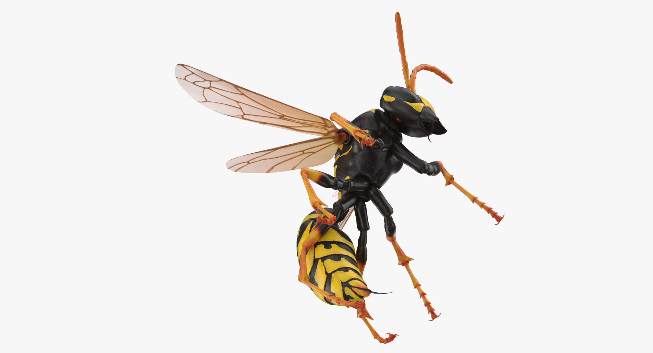 3D paper wasp stinging model - TurboSquid 1367393