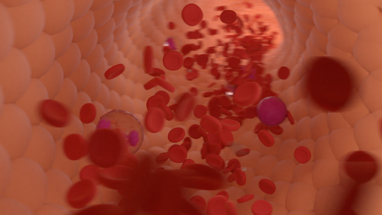 3D bloodstream blood cells model - TurboSquid 1367773