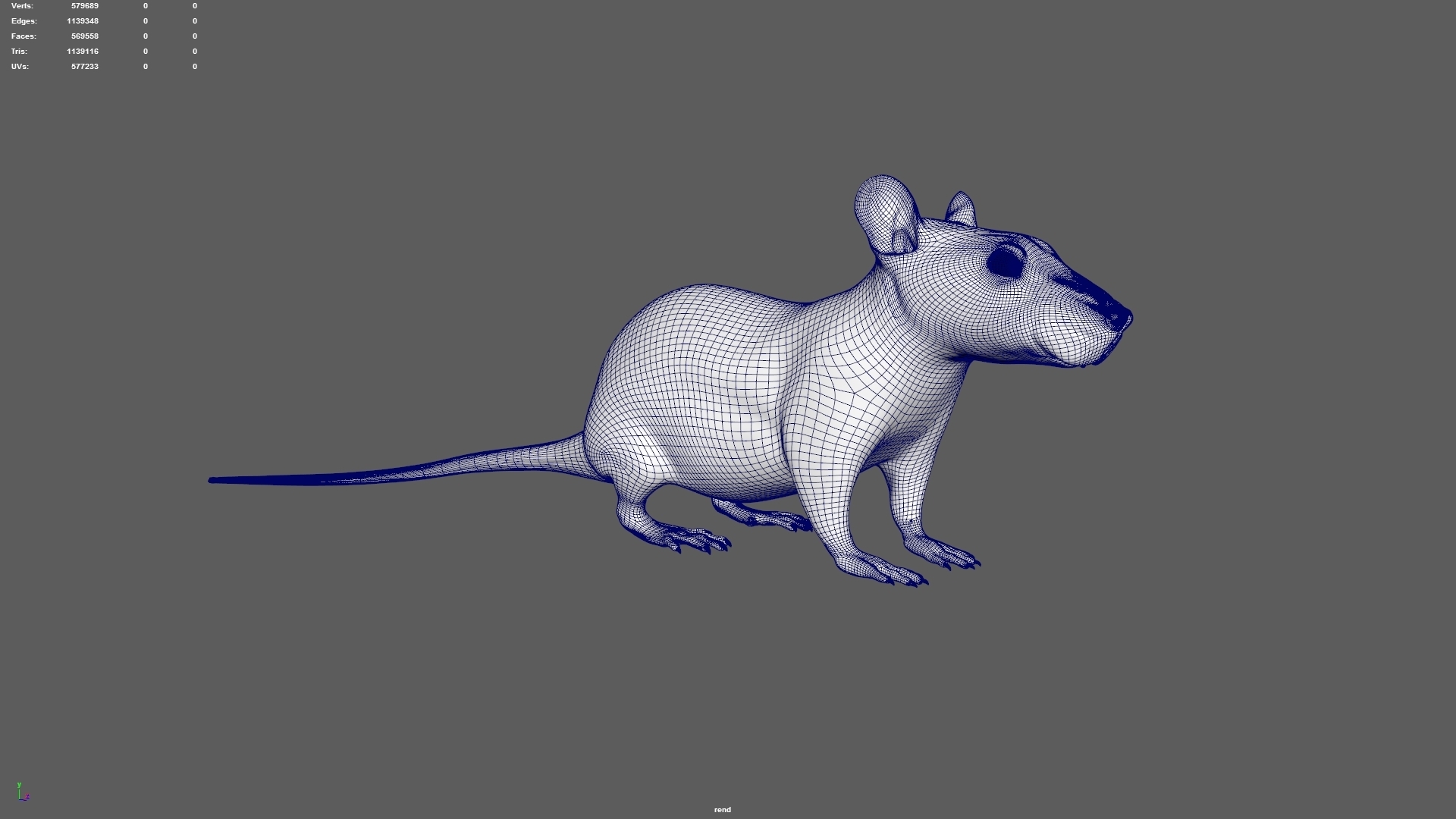 Rat rig 3D - TurboSquid 1368176