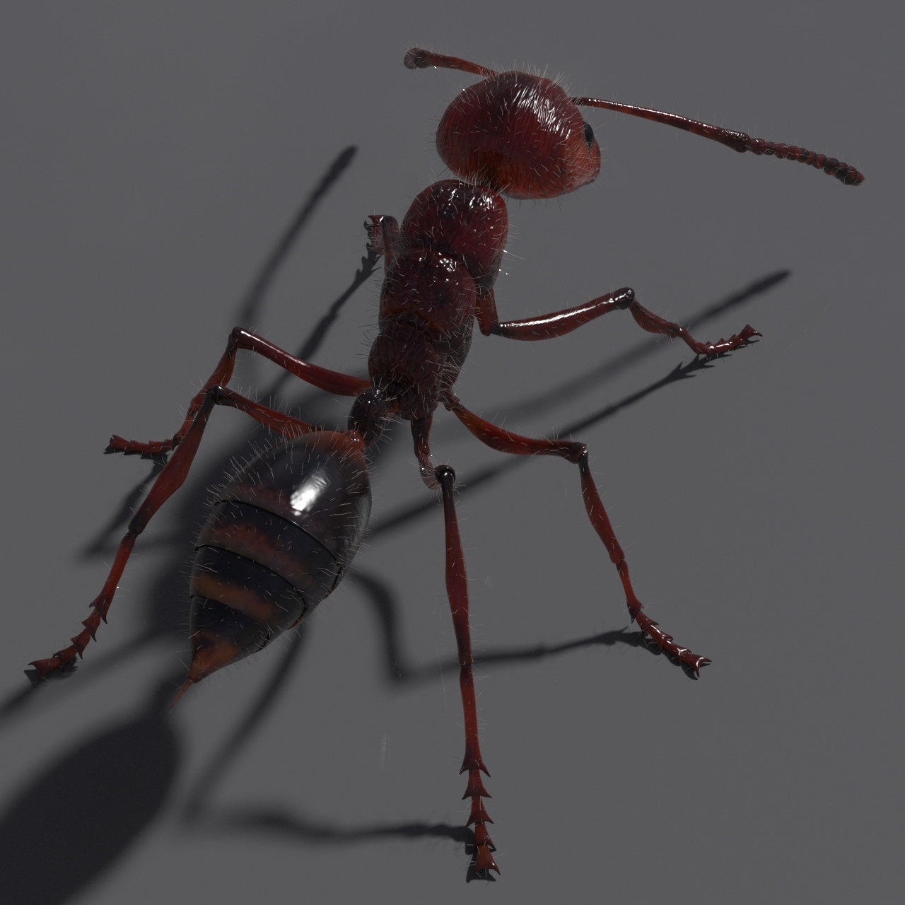 Ant rig 3D model - TurboSquid 1368279
