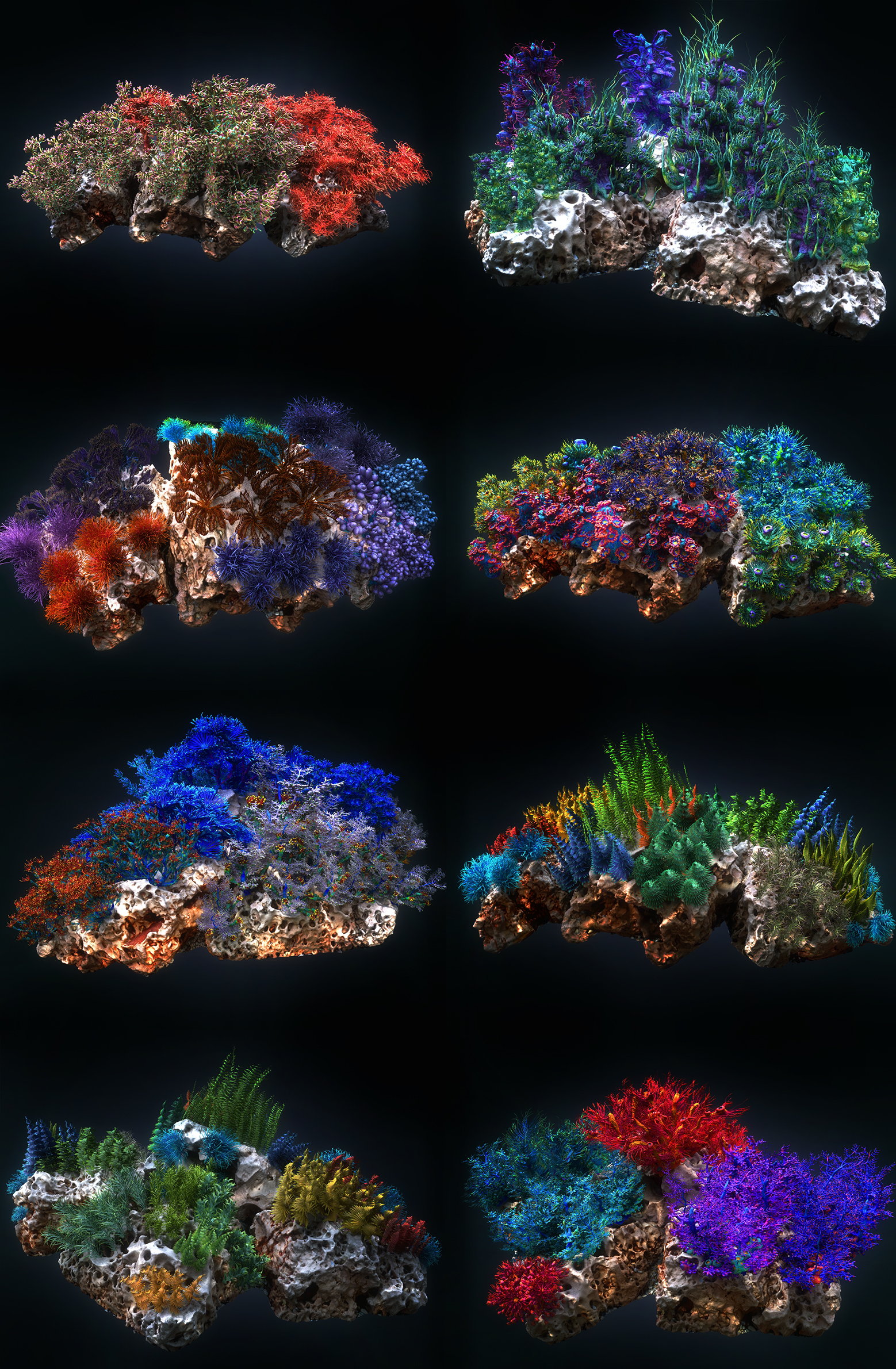 Coral reef ecosystem pack 3D model - TurboSquid 1368596