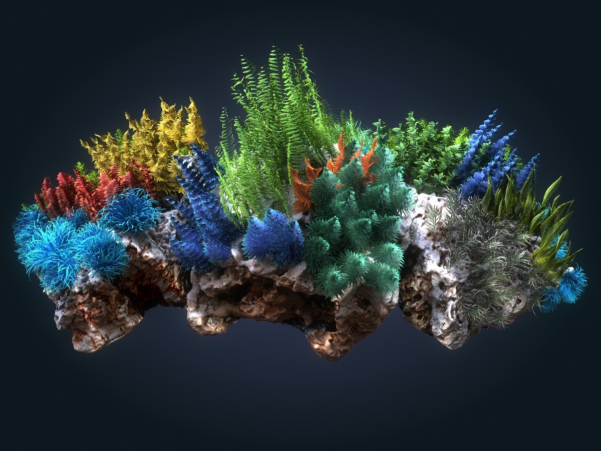 Coral reef ecosystem pack 3D model - TurboSquid 1368596