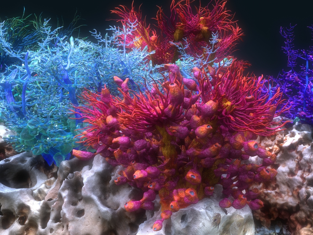 Coral reef ecosystem pack 3D model - TurboSquid 1368596