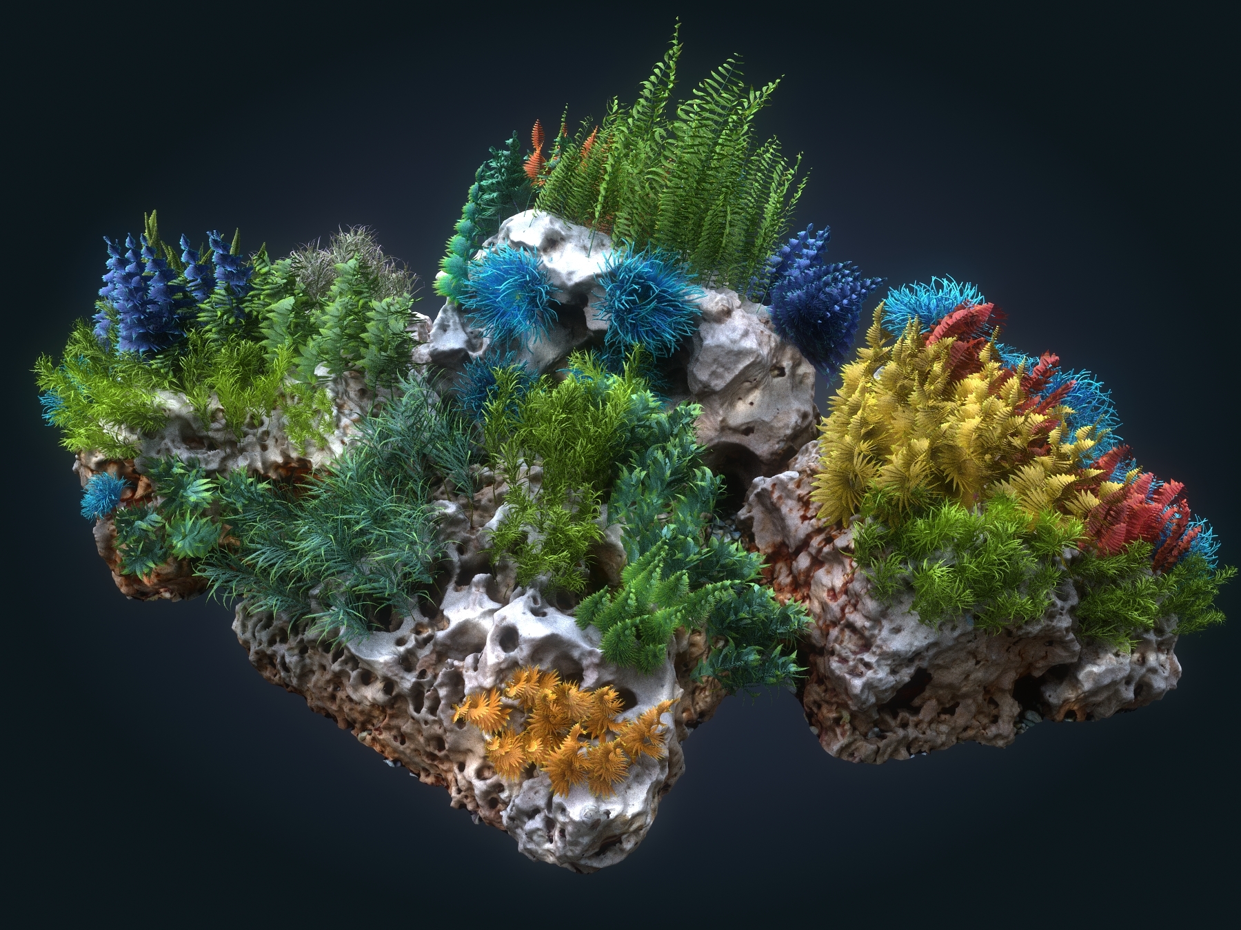Coral reef ecosystem pack 3D model - TurboSquid 1368596