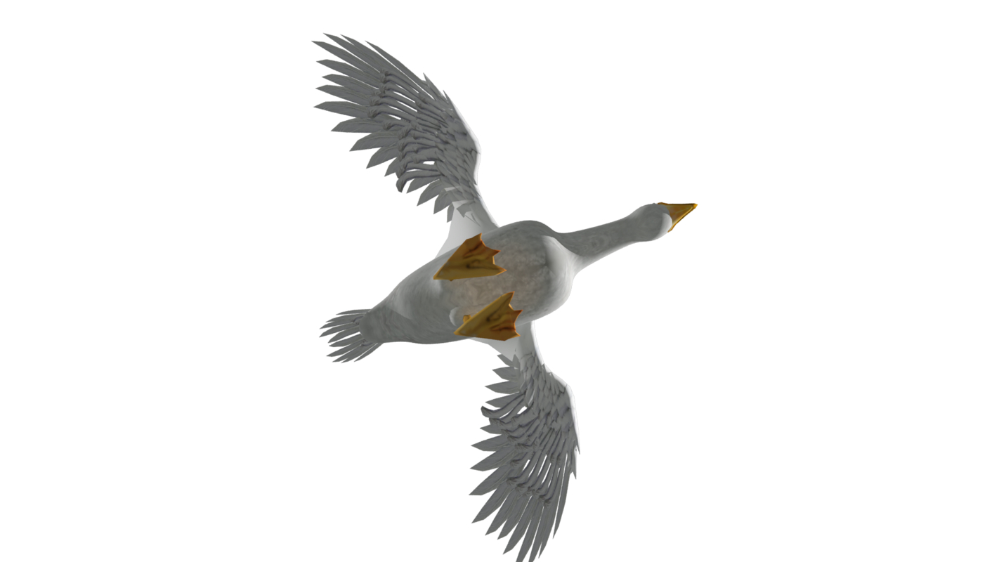 Farm goose model - TurboSquid 1368943