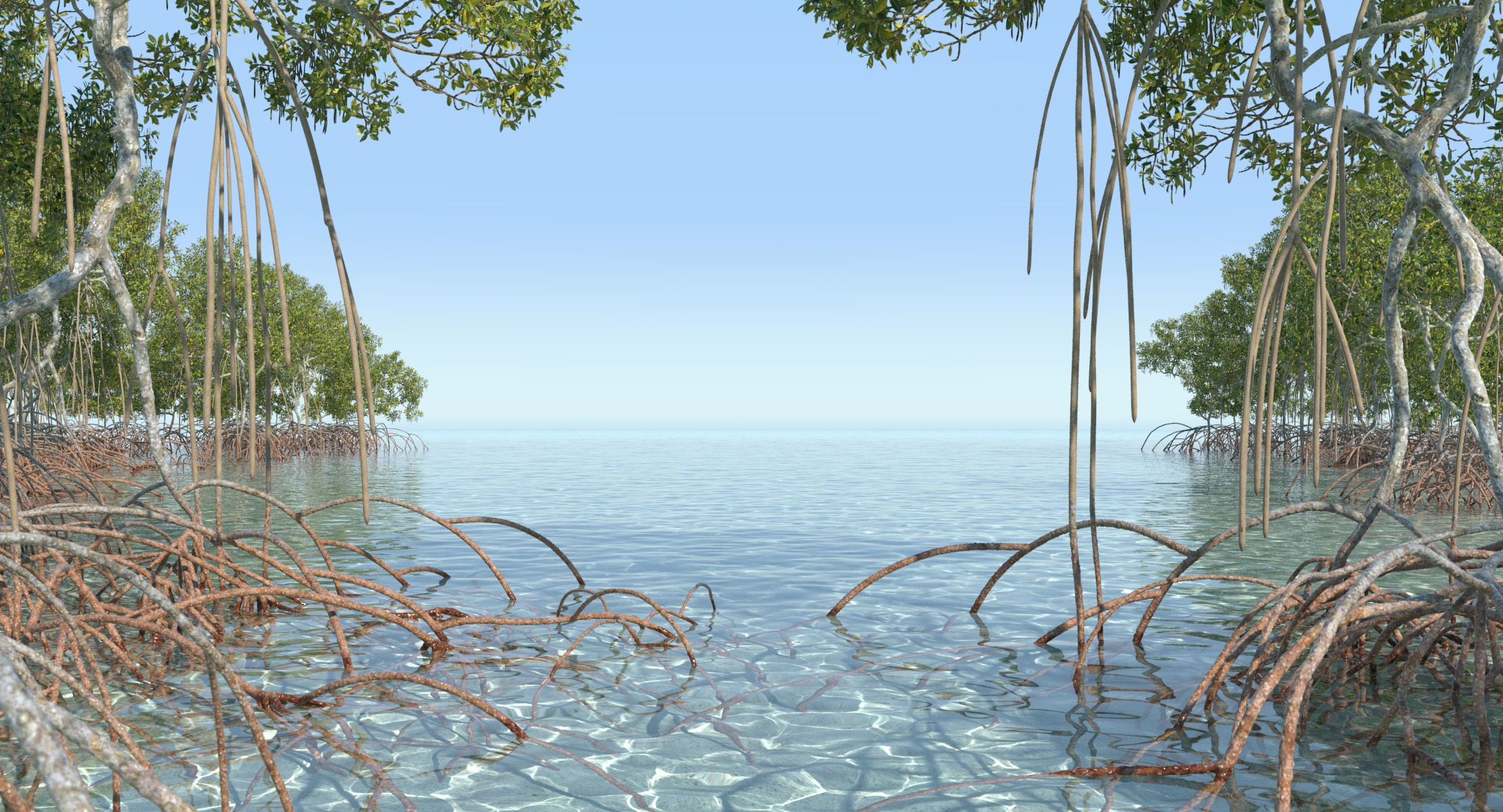 Mangrove animation model - TurboSquid 1369053