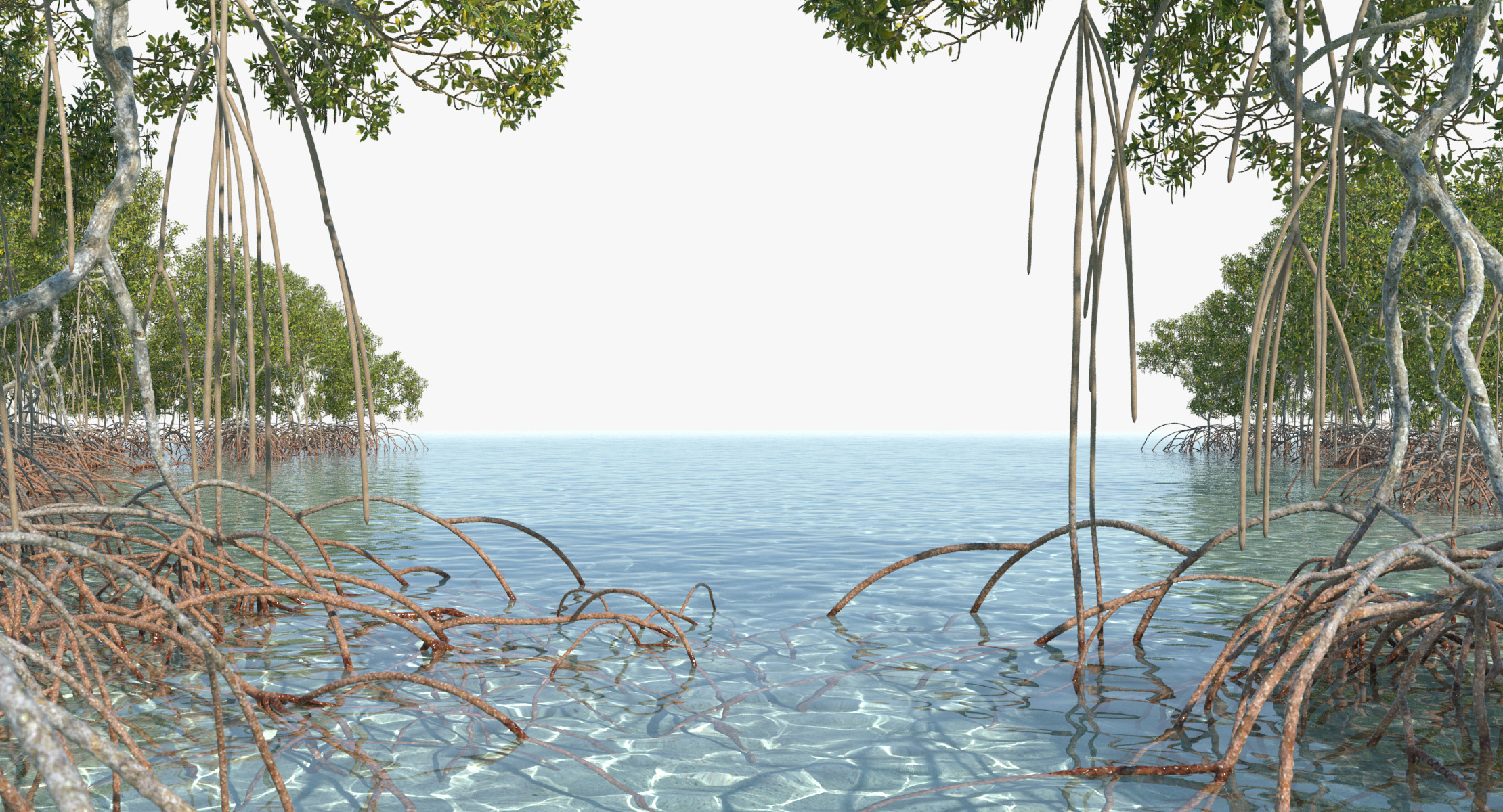 Mangrove animation model - TurboSquid 1369053
