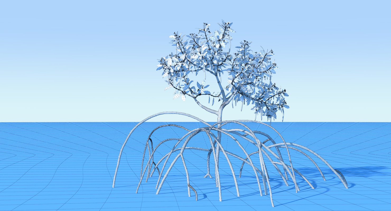 Mangrove animation model - TurboSquid 1369053