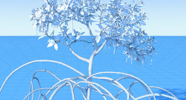 Mangrove animation model - TurboSquid 1369053