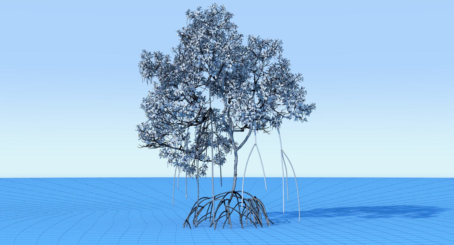 Mangrove animation model - TurboSquid 1369053