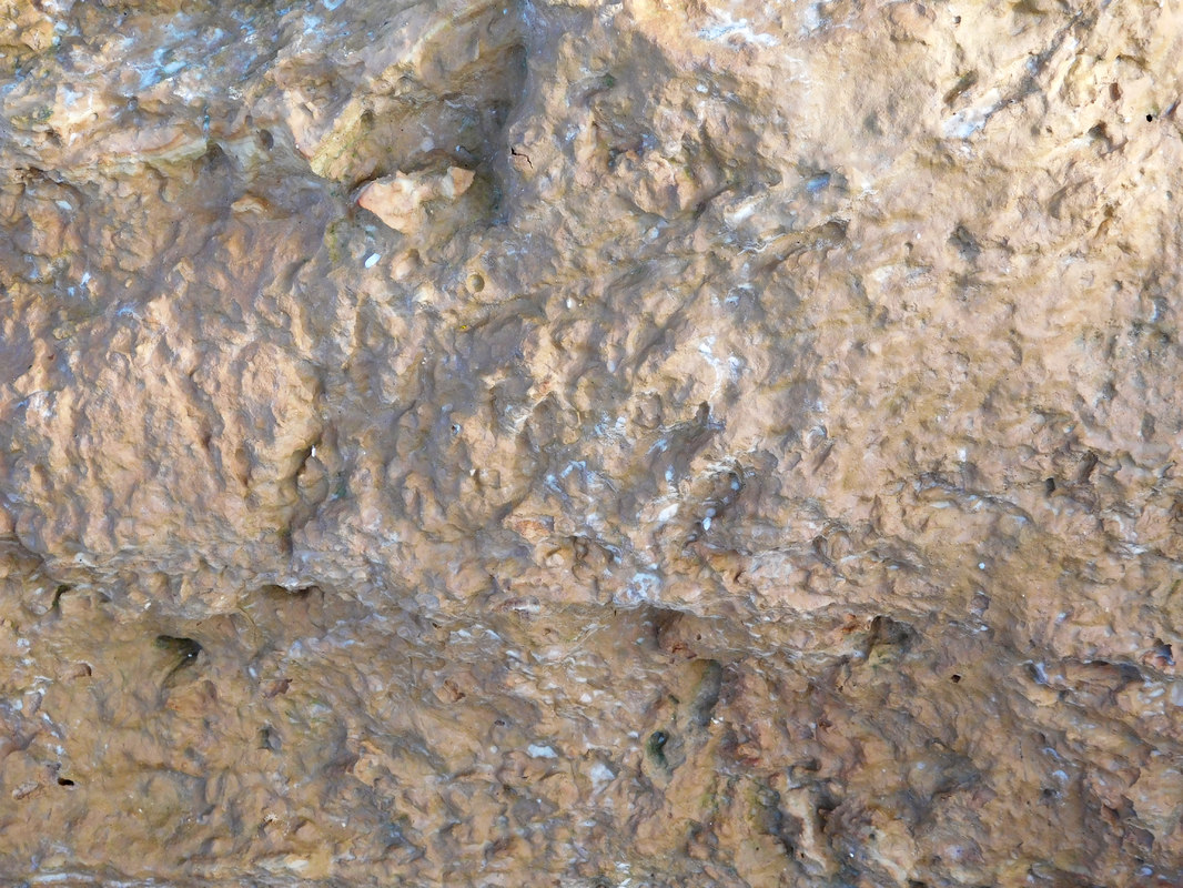 Texture JPEG texture stone weathering