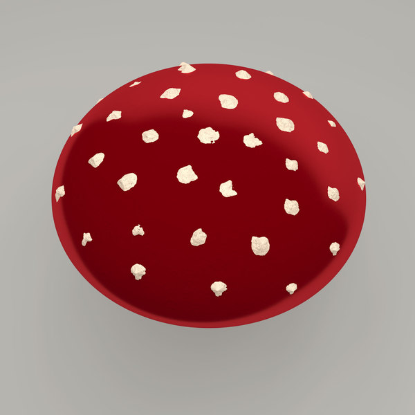 Toadstool toad 3D model - TurboSquid 1370366