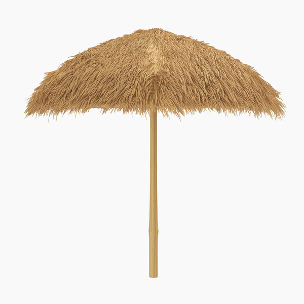 Canopy 3D Models for Download | TurboSquid