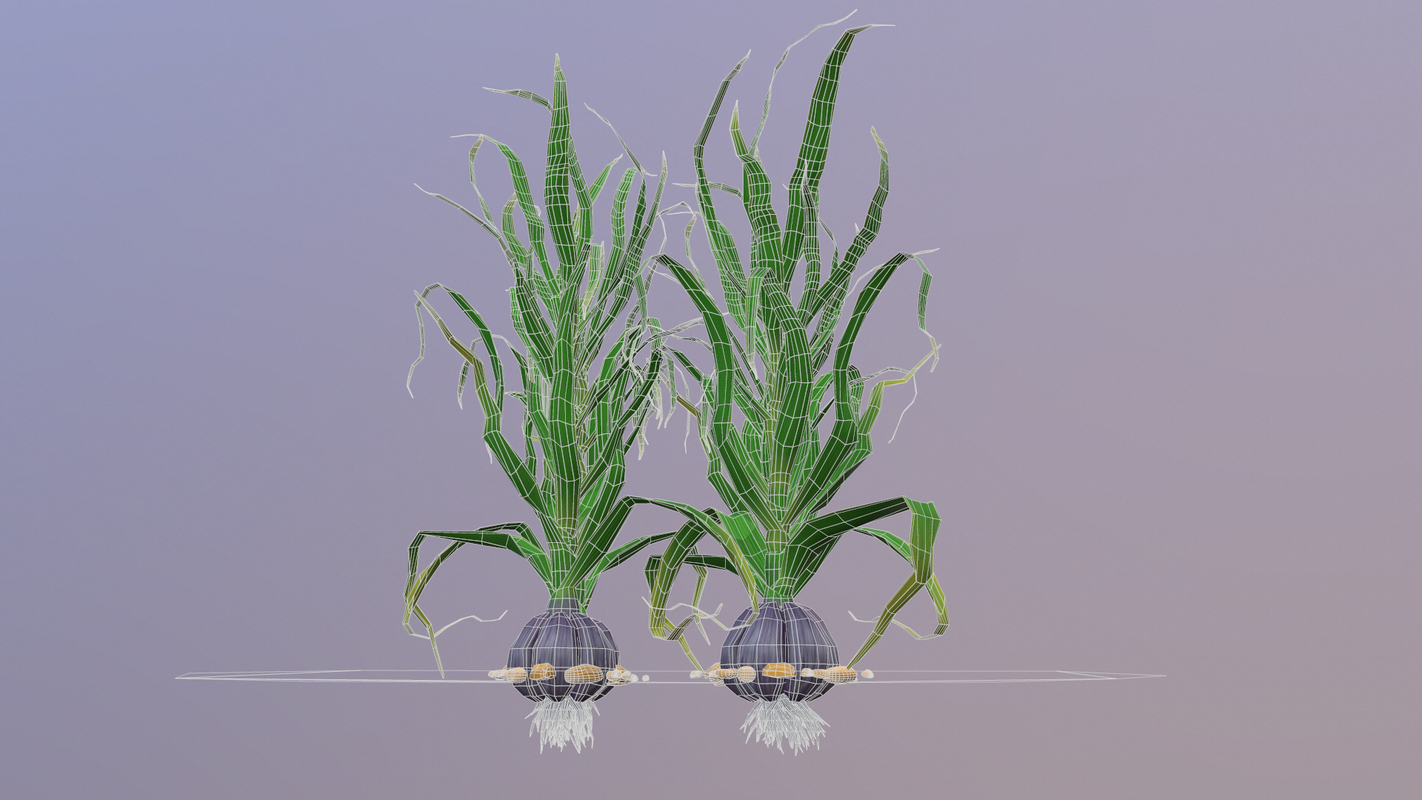 3dsmax garlic planting