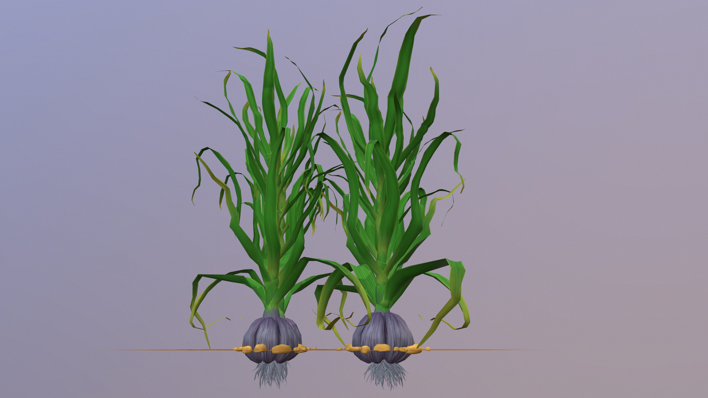 3dsmax garlic planting