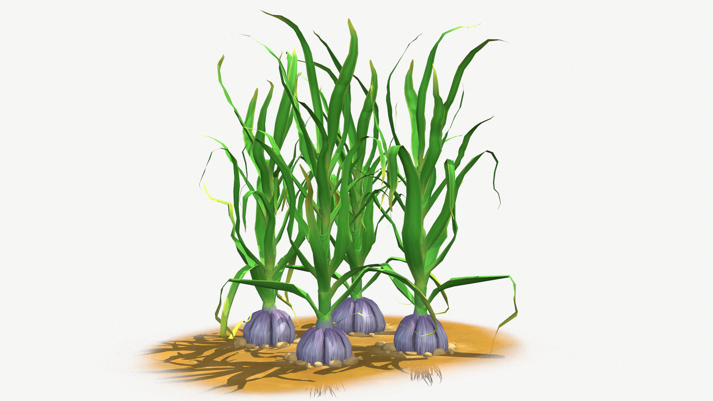 3dsmax garlic planting