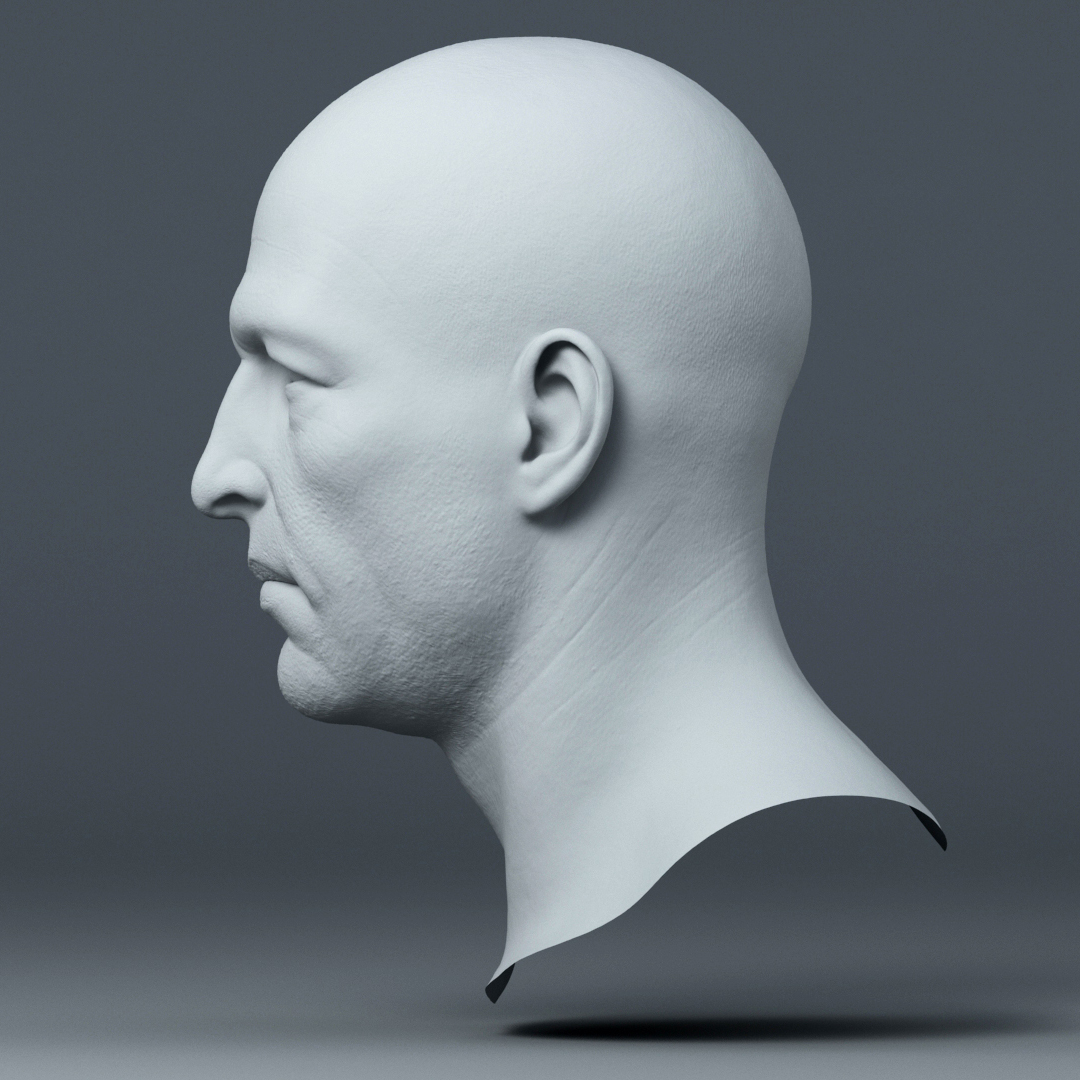 Realistic male head model - TurboSquid 1369307