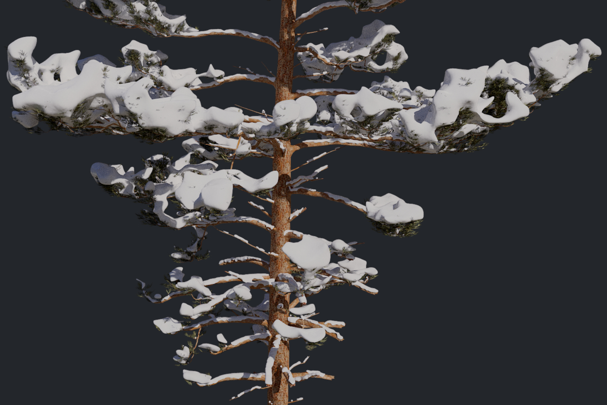Winter pine tree pack 3D model - TurboSquid 1371614