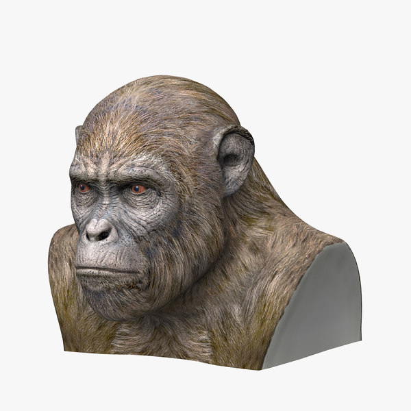 Ape 3D Models for Download | TurboSquid