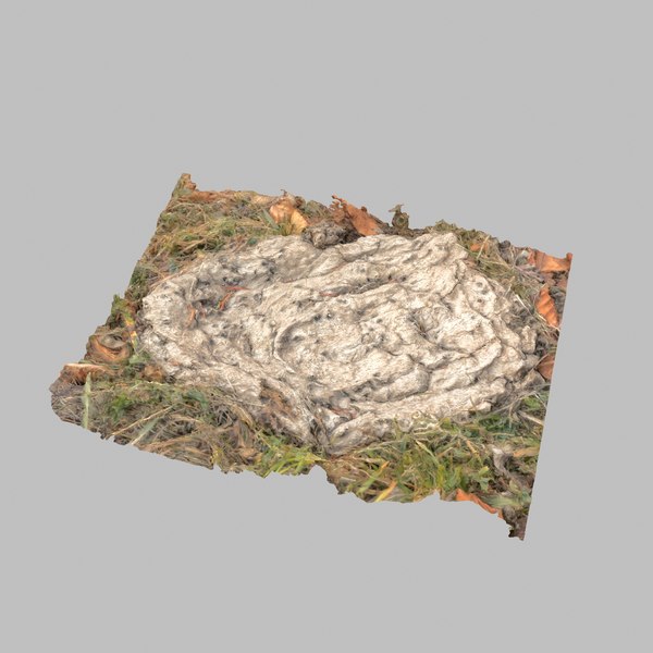 3D poop poo cow - TurboSquid 1371766