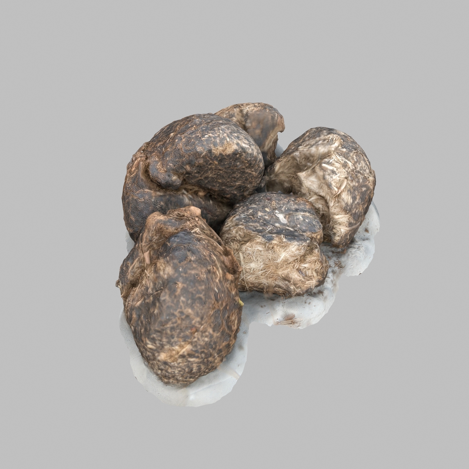 3D poop poo goat - TurboSquid 1372059