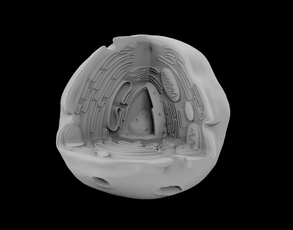 Human cell 3D model - TurboSquid 1372282