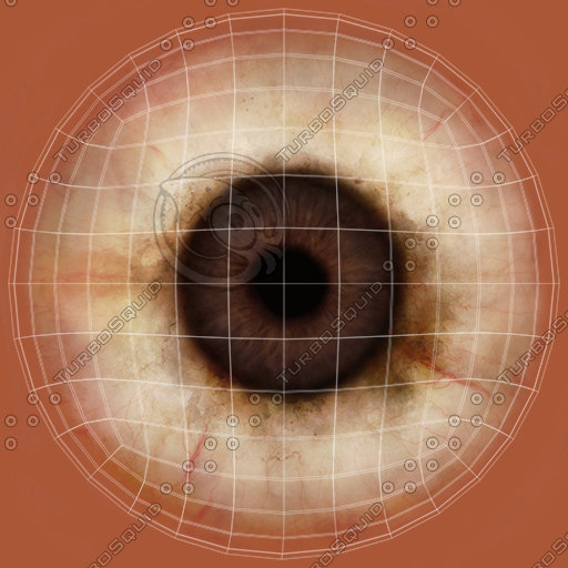 Rhino family 3D - TurboSquid 1372518