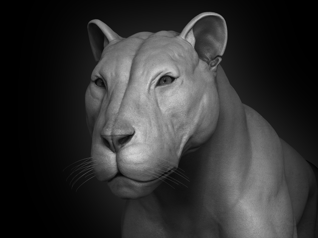 3D model lion anatomy muscles skeleton animal - TurboSquid 1372745