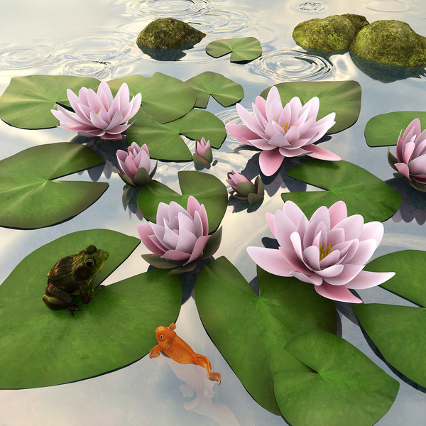 water lily animation 3d model